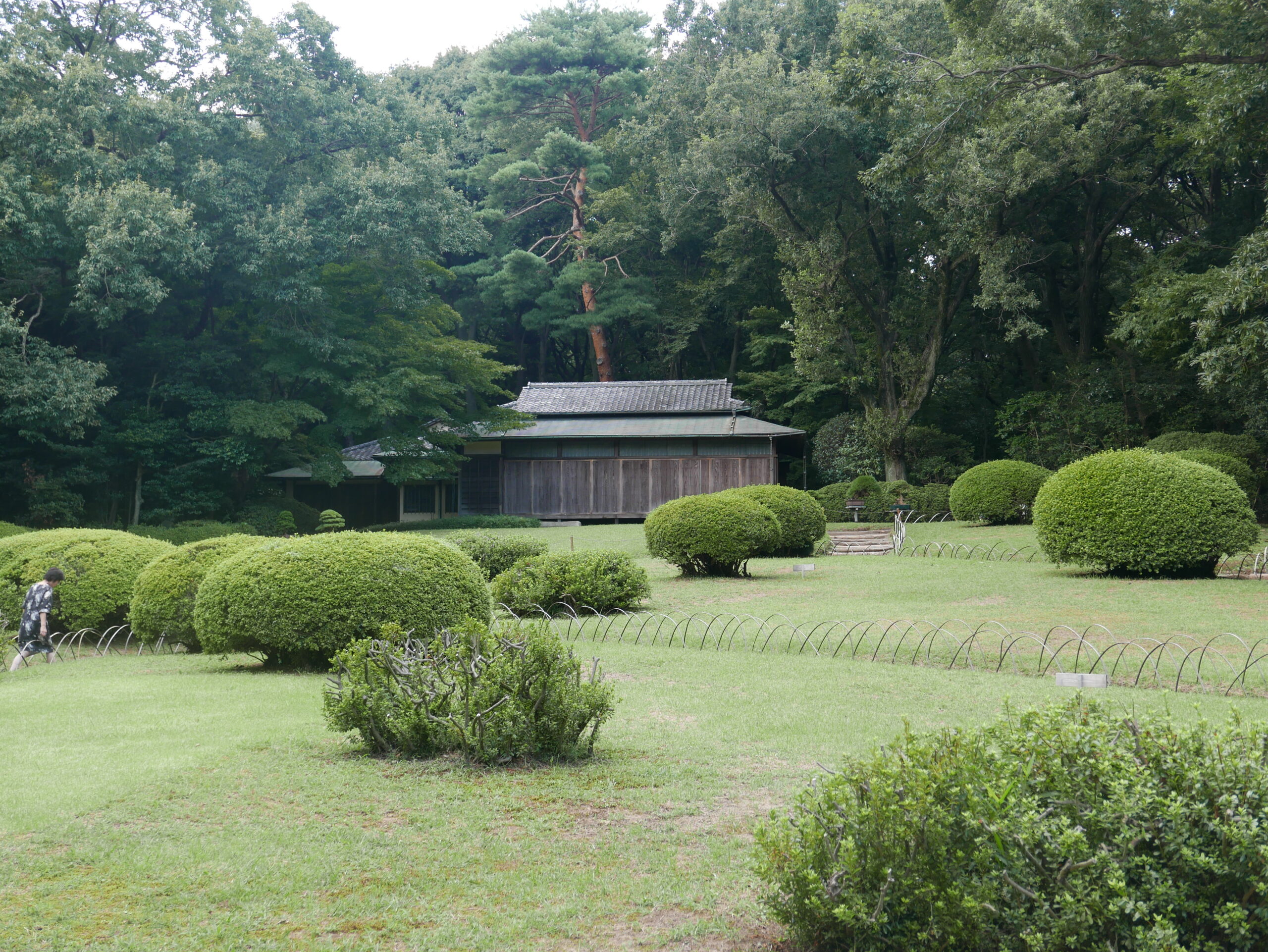 Meiji-Jingu Shrine (4): The garden | Hi, I'm Toru, your guide in Japan!