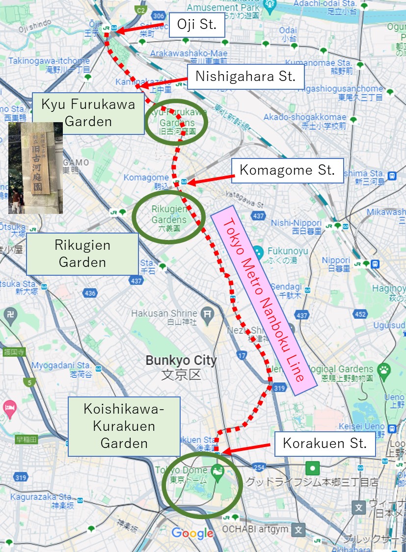 “A Three-Garden Tour in Tokyo” Part 3: Kyu-Furukawa Garden symbolizes the contrast between the ...
