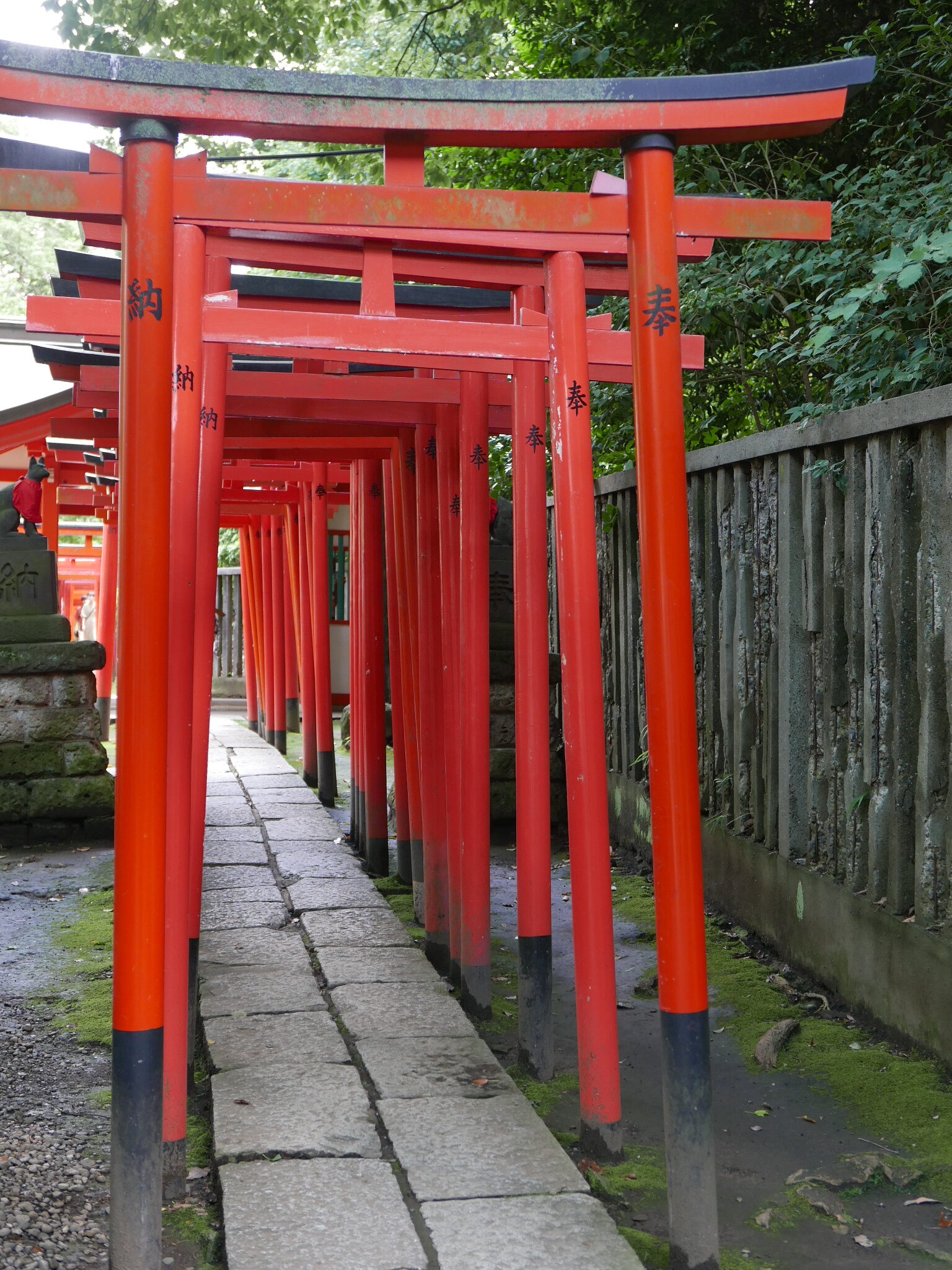 Nezu Shrine Part 2: Amazing! One-Thousand Torii Gates. | Hi, I'm Toru ...