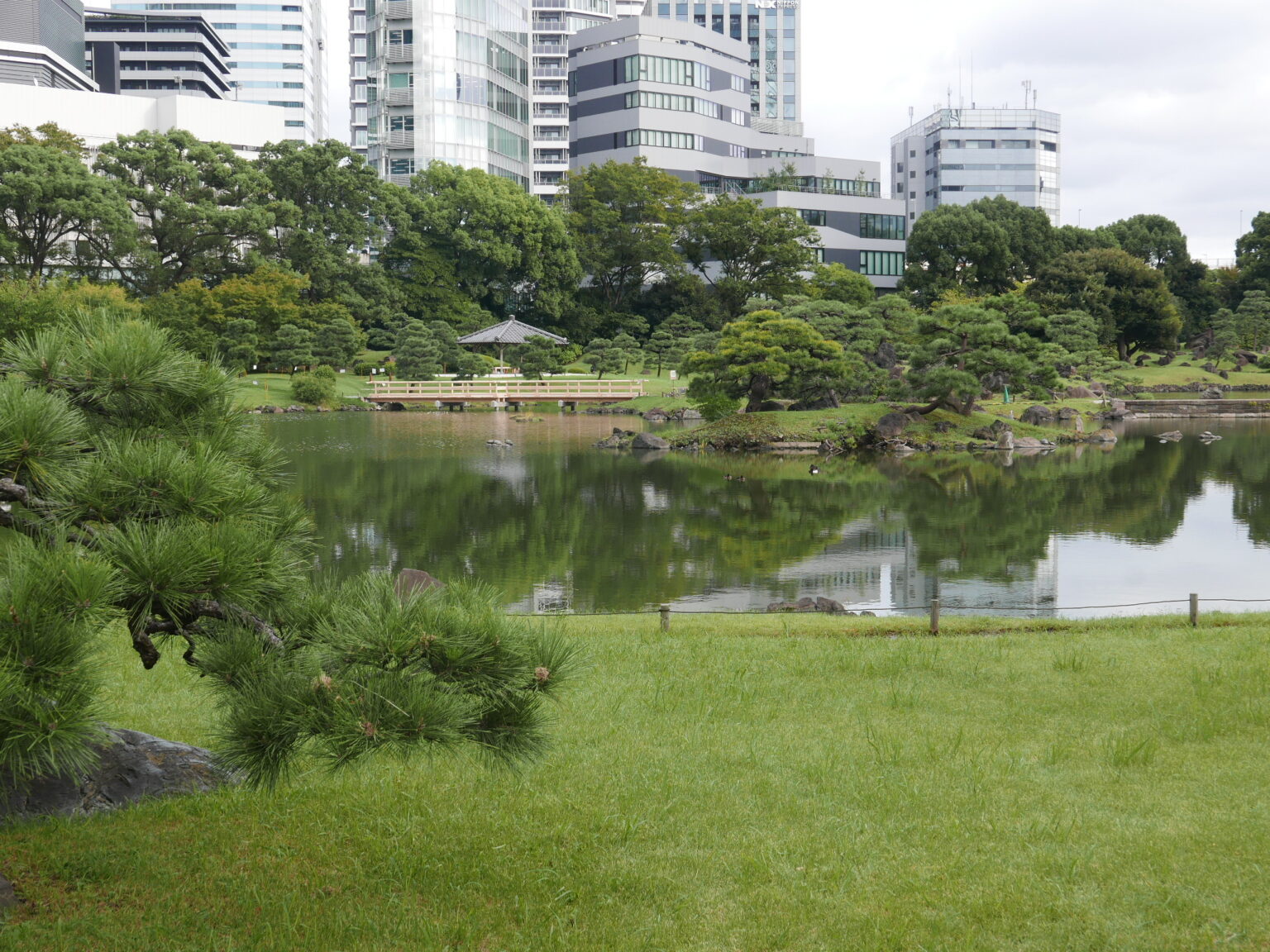 The Kyu Shiba Rikyu Garden: Mionr but full of remarkable tastes in ...