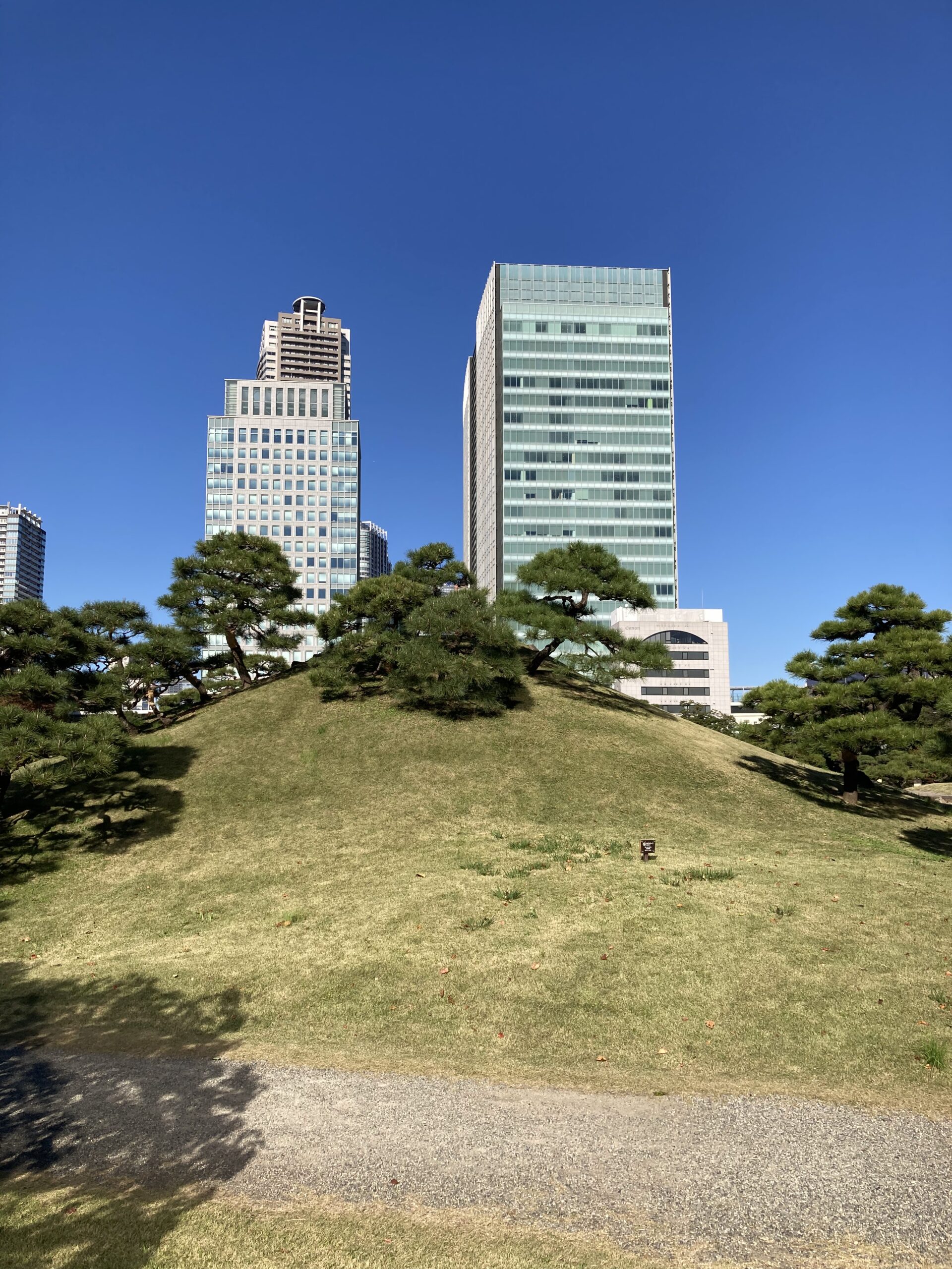 The Kyu Shiba Rikyu Garden: Mionr but full of remarkable tastes in ...