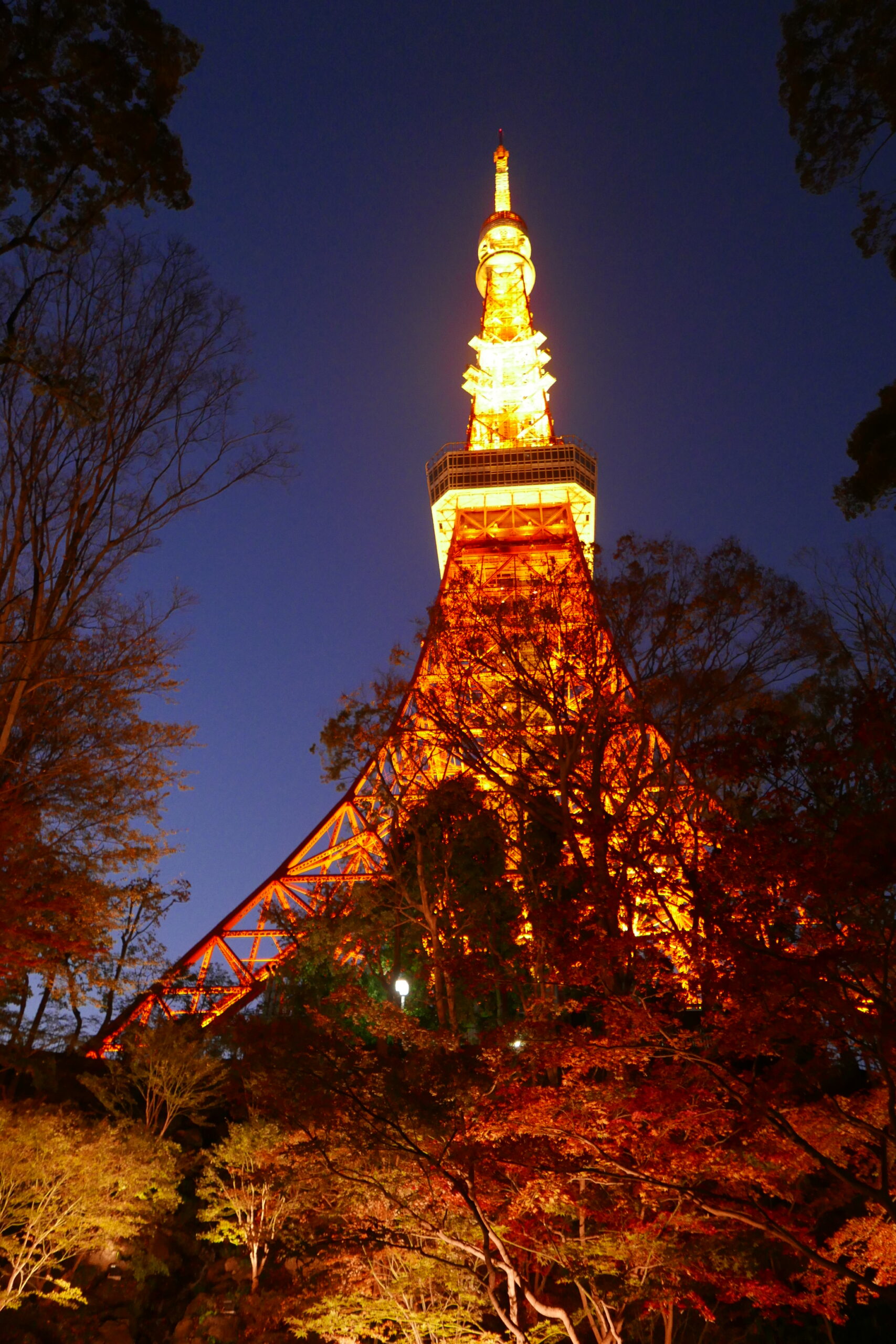 The 66-year-old lovely iconic monument: Tokyo Tower | Hi, I'm Toru ...